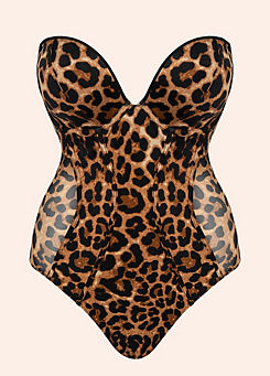 Curvy Kate | Plus Size Lingerie & Nightwear | Curvissa