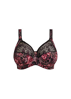 Elomi | Plus Size Lingerie & Nightwear | Curvissa