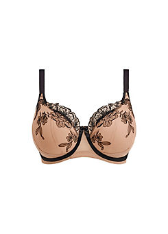 Elomi | Plus Size Lingerie & Nightwear | Curvissa