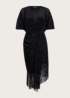 Plus Size & Curve Dresses | Women's Dresses 14-32 | Curvissa