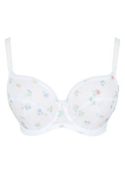 Plus Size Bras | Bras for Big Busts | Lingerie | Curvissa