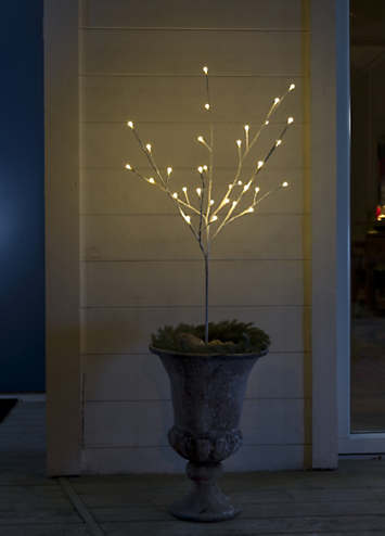 1m White Firefly Twig Tree | Curvissa