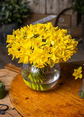 Hortic Express Jemima 50 Yellow Daffodils Letterbox Fresh Flowers ...