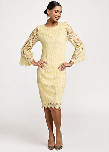 Kaleidoscope Lemon Lace Shift Dress | Curvissa