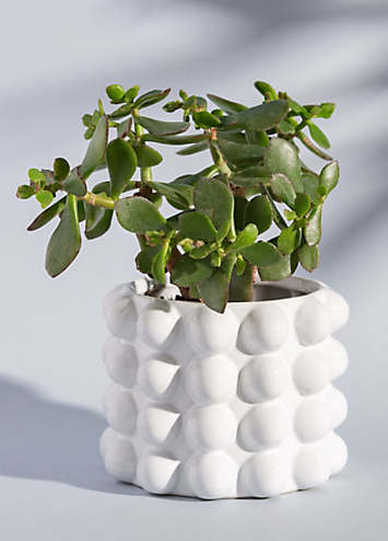 Sass & Belle White Bobble Plant Pot | Curvissa
