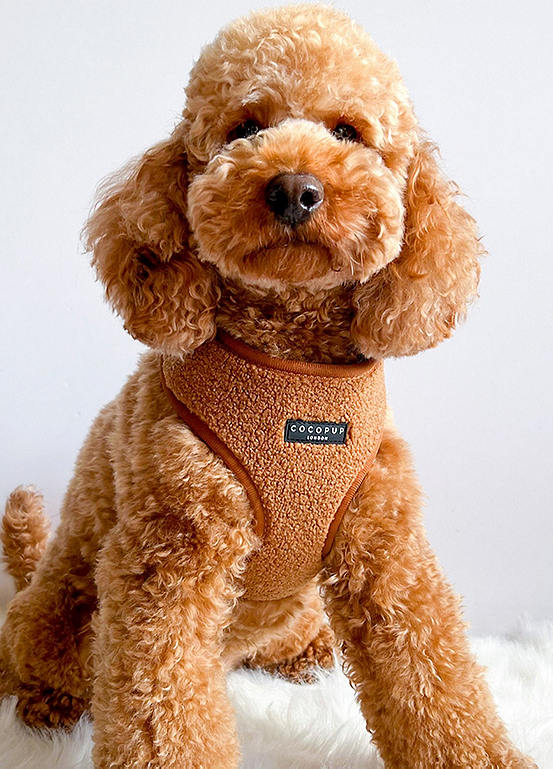 Cocopup Teddy Paddington Dog Harness | Curvissa