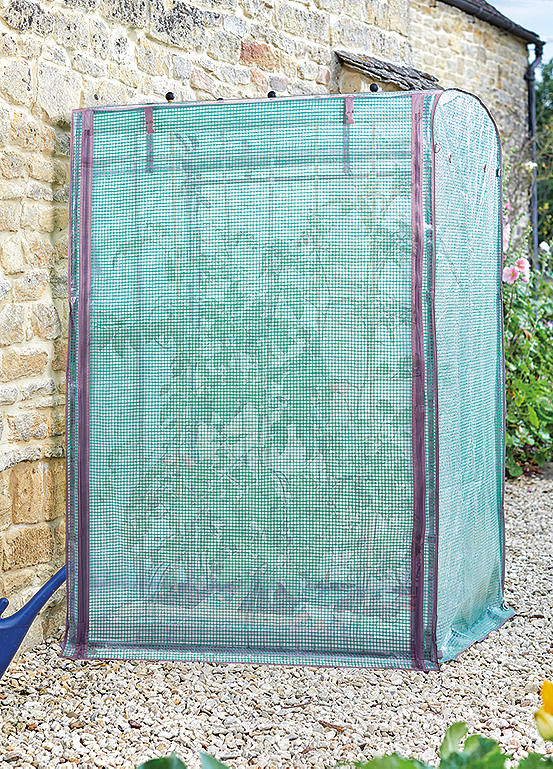 Smart Garden Tomato GroZone Max - Double Sided | Curvissa