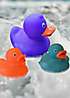 Buddy & Barney Colour Changing Ducks | Curvissa