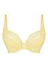 Panache Heidi High Apex Underwired Plunge Bra | Curvissa