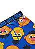 Sesame Street Mens Bert & Ernie 2Pk Boxer Short | Curvissa